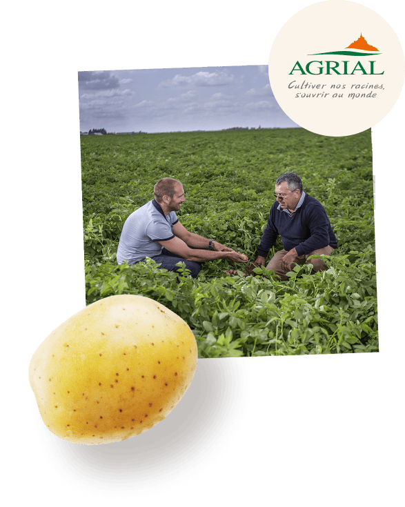 Priméale France Export