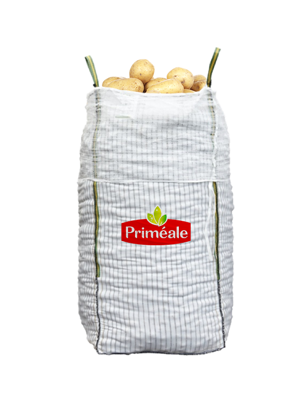 Priméale France Export