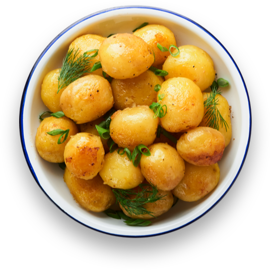 Priméale France Export